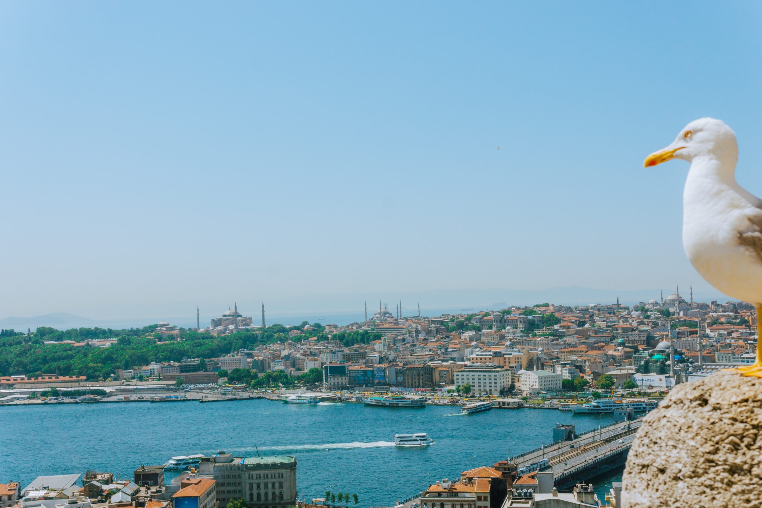 Unlock Potential: Your Guide to Setting Up a Company in Turkey ...